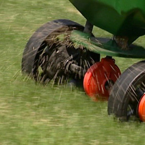 The Truth About Spring Seeding | Best Greening Services